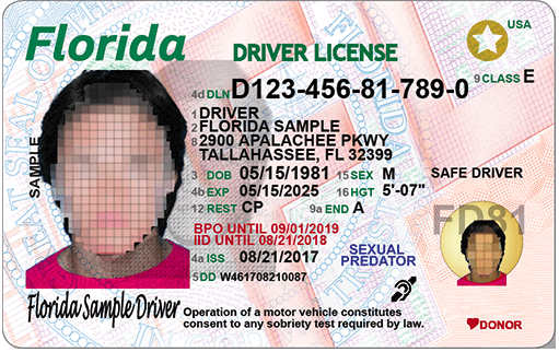 Check License Status Miami Horagro